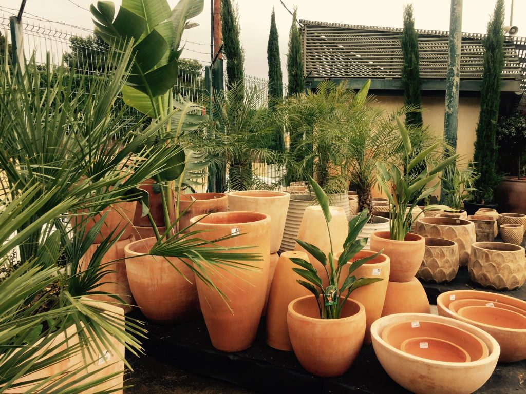 Macetas Rectangulares de Barro: Un Toque de Naturaleza para tu Casa ...